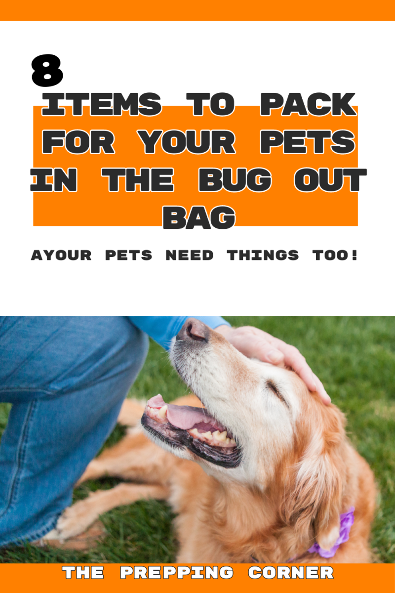 Pet-Friendly Bug Out Bag Essentials: Packing for Your Furry Friends