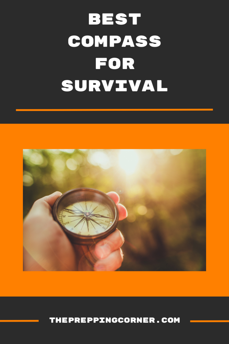 Navigate Safely in the Wild: Find the Best Compass for Survival