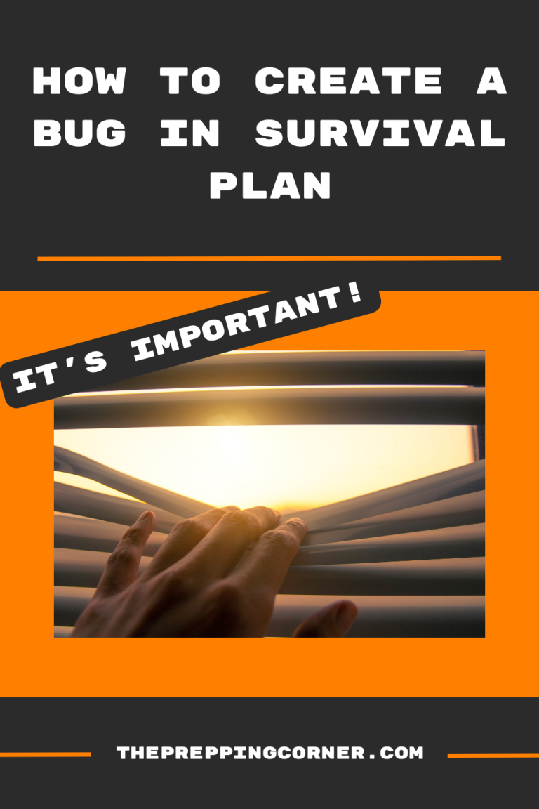 Bug-In Survival Plan: How to Safeguard Your Home and Loved Ones